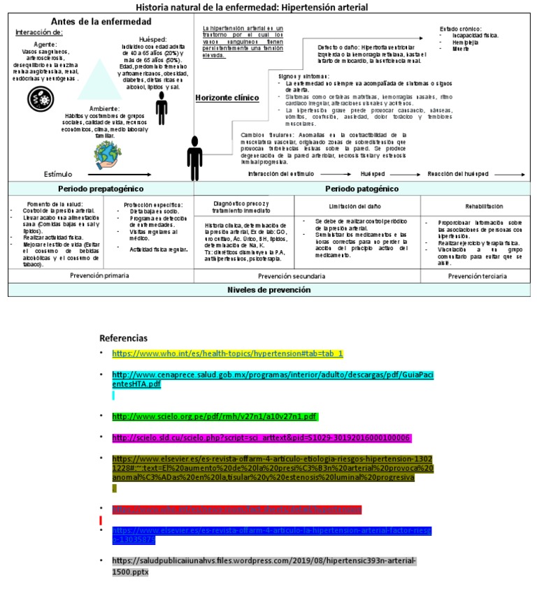 HNE - Hipertensión Arterial | PDF | Hipertensión | Sistema cardiovascular