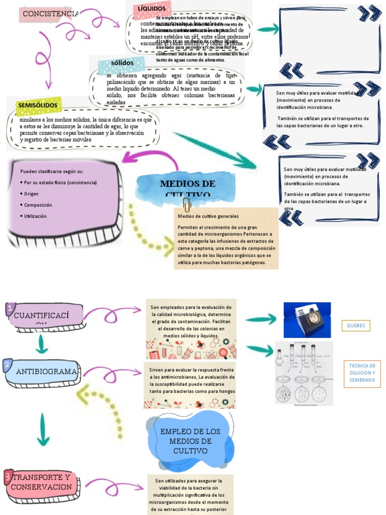 Medios de Cultivo Mapa Mental Ii | PDF | Organismos | Microscopía