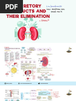 The Living World Mind Map | PDF | Taxonomy (Biology) | Organisms