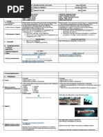 DLL WEEK 2 Grade 9 Filipino | PDF