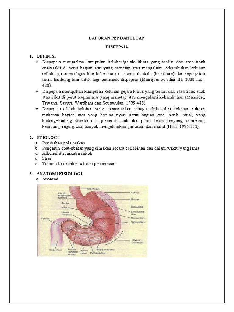 ASKEP Dispepsia | PDF