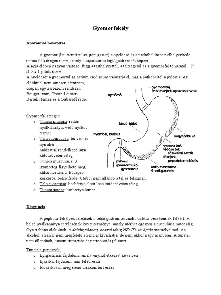 Gyomorfekély | PDF
