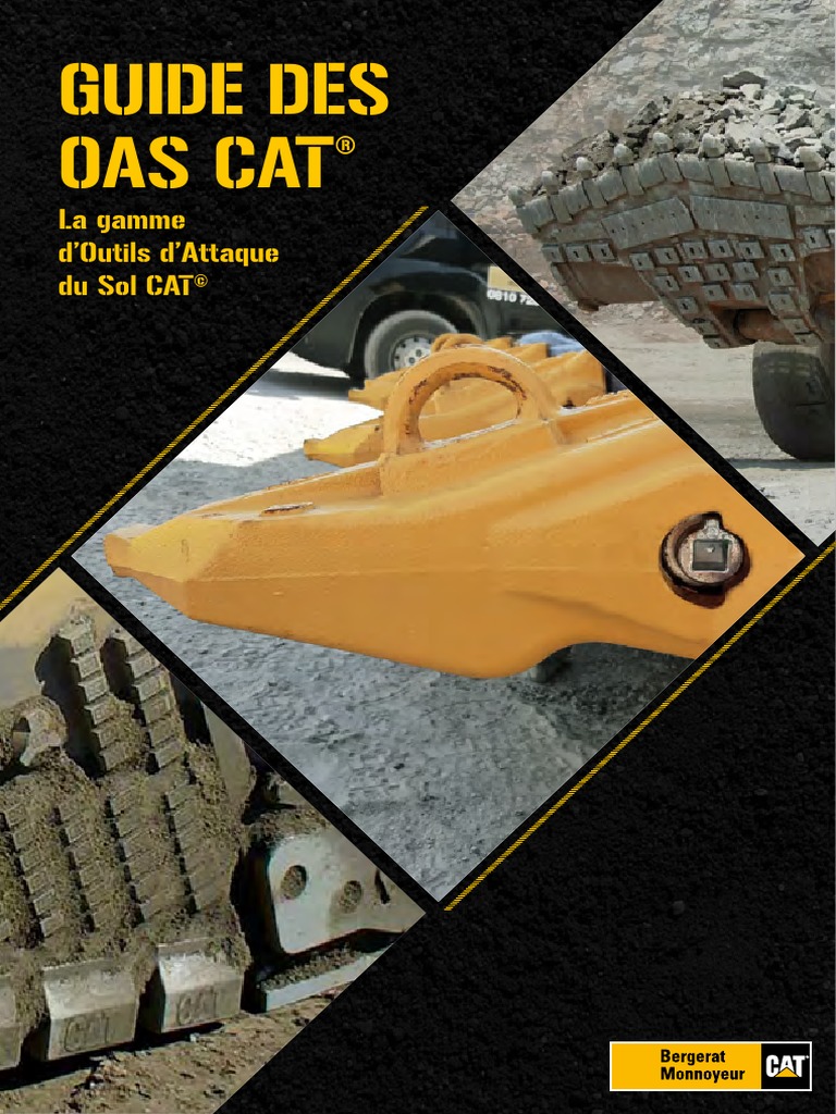 Guide Des Oas Cat | PDF