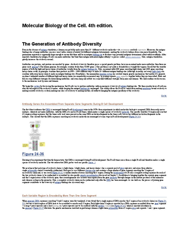 The Generation of Antibody Diversity | Download Free PDF | Antibody | B ...