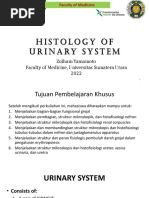 RGU and MCU PPT Final For 18.9.23, Bsmmu | PDF | Urinary System | Urology