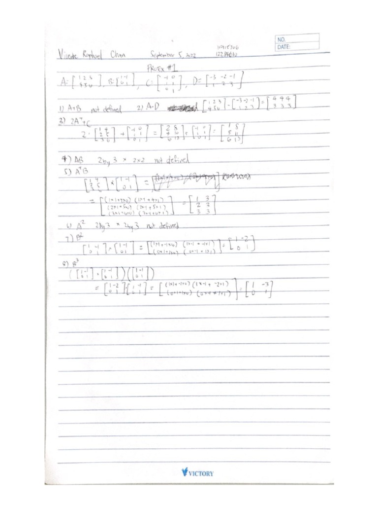 Matrix Exercises Pdf 