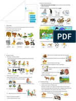 Grade 5 Animal Classification Guide | PDF