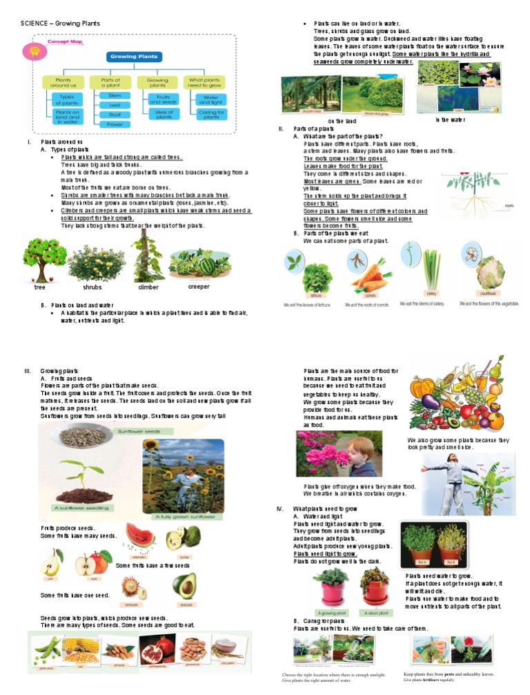 Growing Plants: Class 5 Overview | PDF | Science & Mathematics