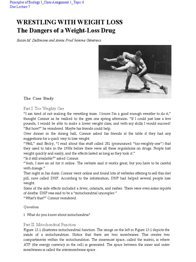PoB I - CA 1 - Topic 6 - Wrestling With Weight Loss | Download Free PDF ...