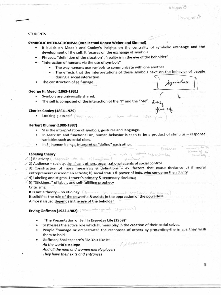 Symbolic Interactions Im | PDF