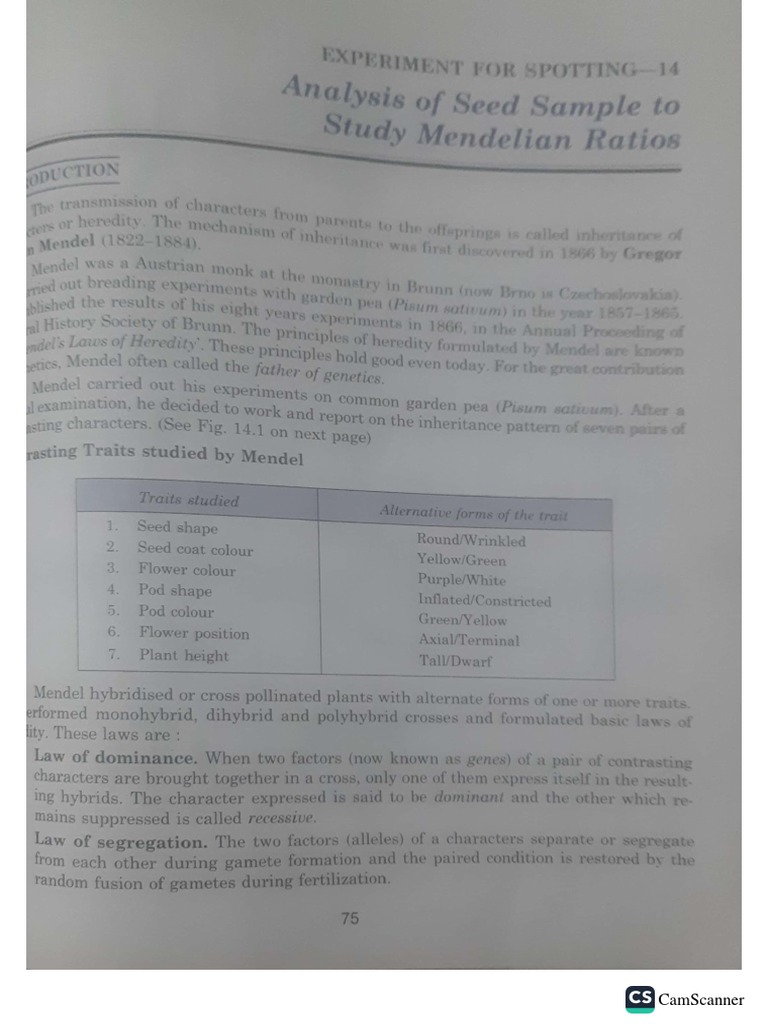 Mendelian Inheritance Using Seeds of Different Colour, Sizes of Any Plant. | PDF