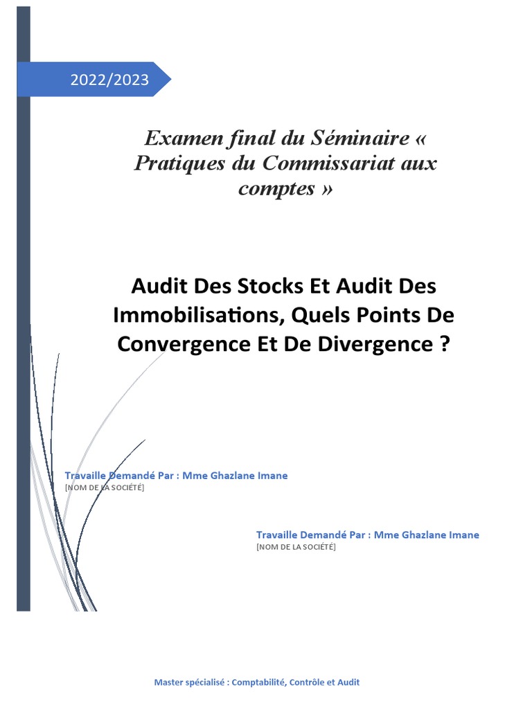 Cac Rapport | PDF | Audit financier | Immobilisations
