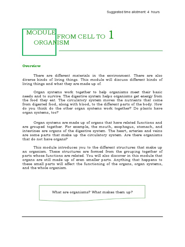 From Cell To Organism | PDF | Gastrointestinal Tract | Tissue (Biology)
