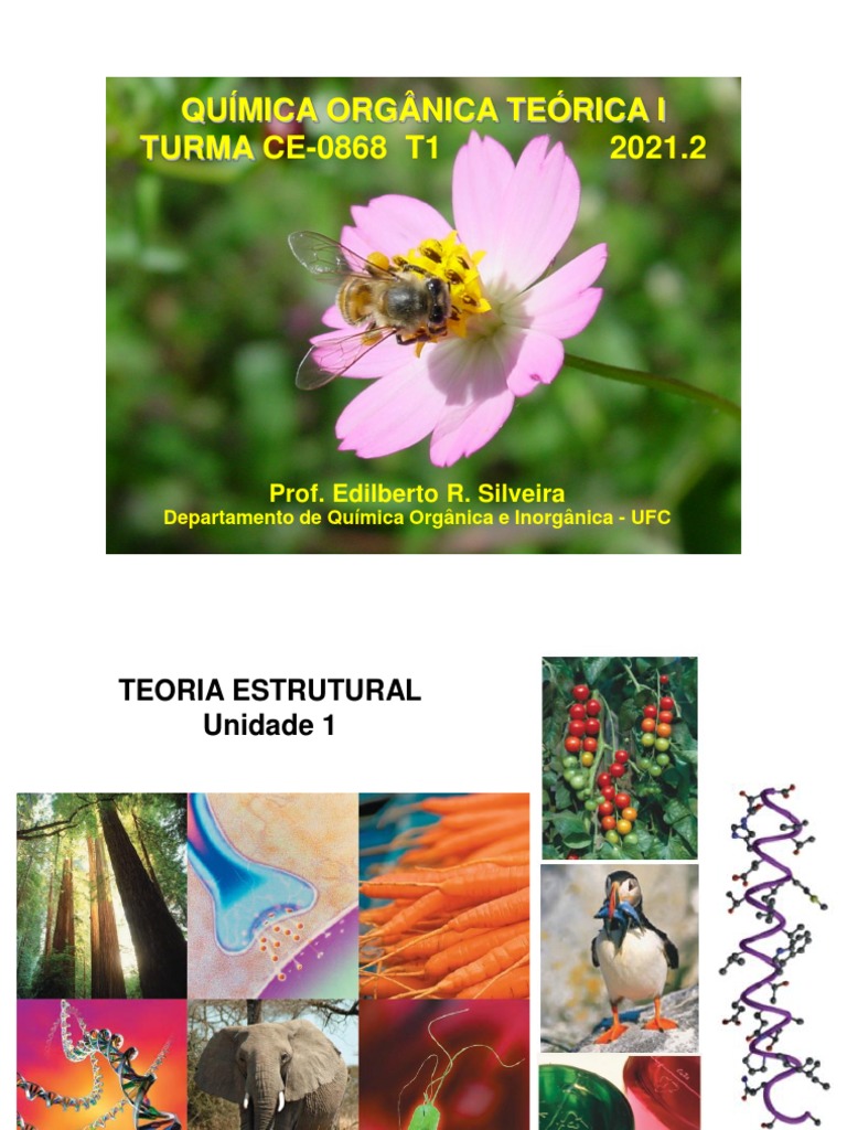 Edil Química Orgânica Unidade 1 Teoria Estrutural Pdf Polaridade