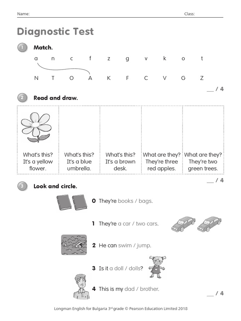 02 Diagnostic Test | PDF