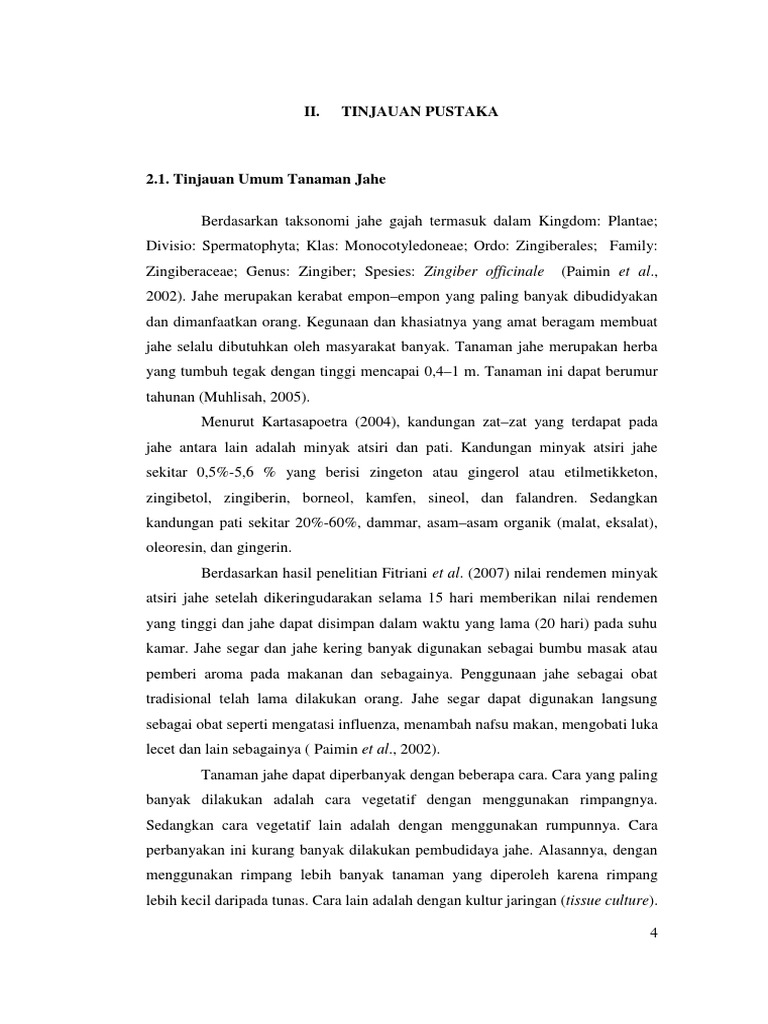 BAB 2 Tipus Jahe | PDF