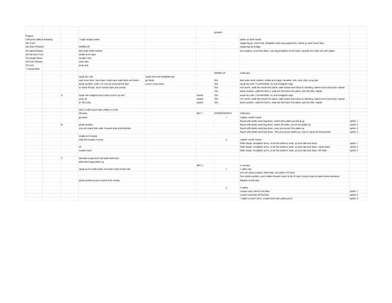 Aziza Workout Library - Sheet1 | PDF | Physical Exercise
