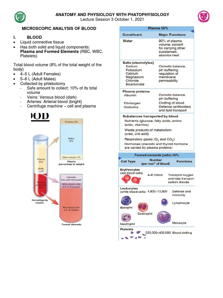 Ana Phy | PDF | White Blood Cell | Granulocyte