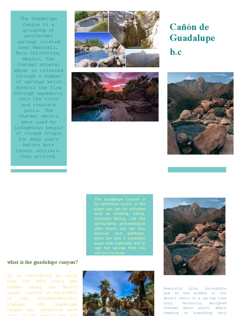 TRIPTICO INGLES | PDF