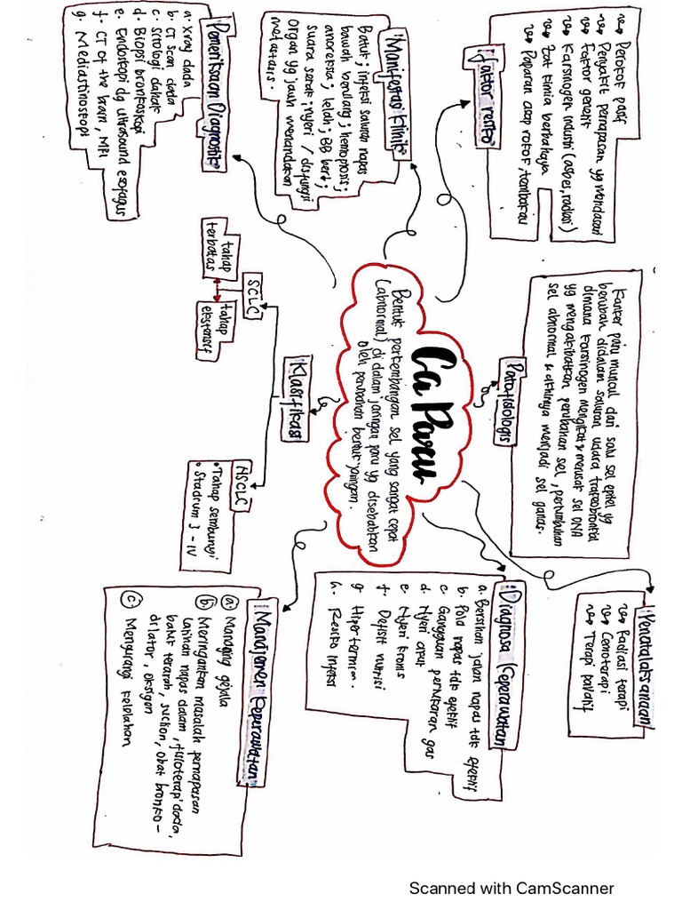 Mind Mapping Ca Paru | PDF