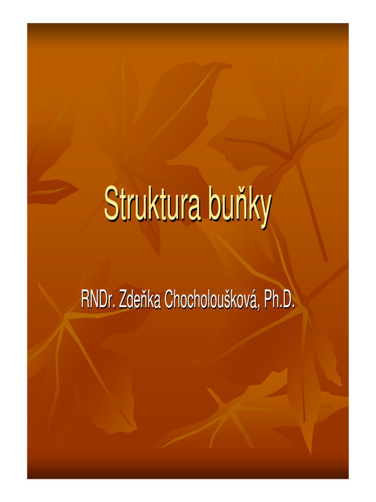 Prokaryotni Bunka | PDF
