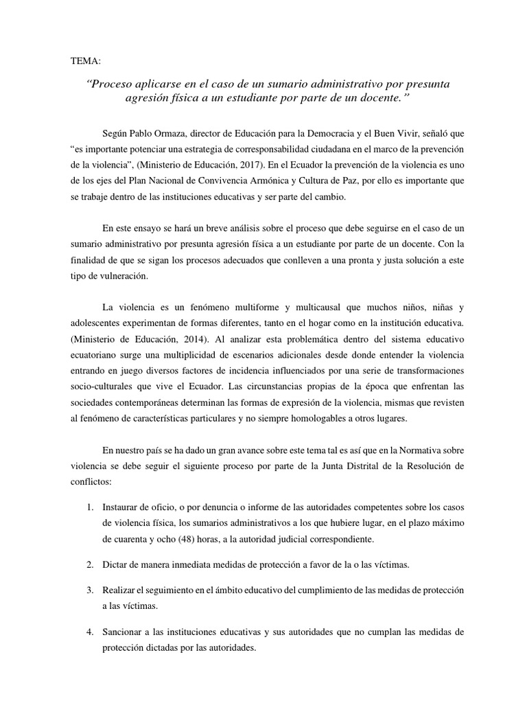 Ensayo Argumental Sumario Enma Espin | PDF | Debido al proceso | Violencia