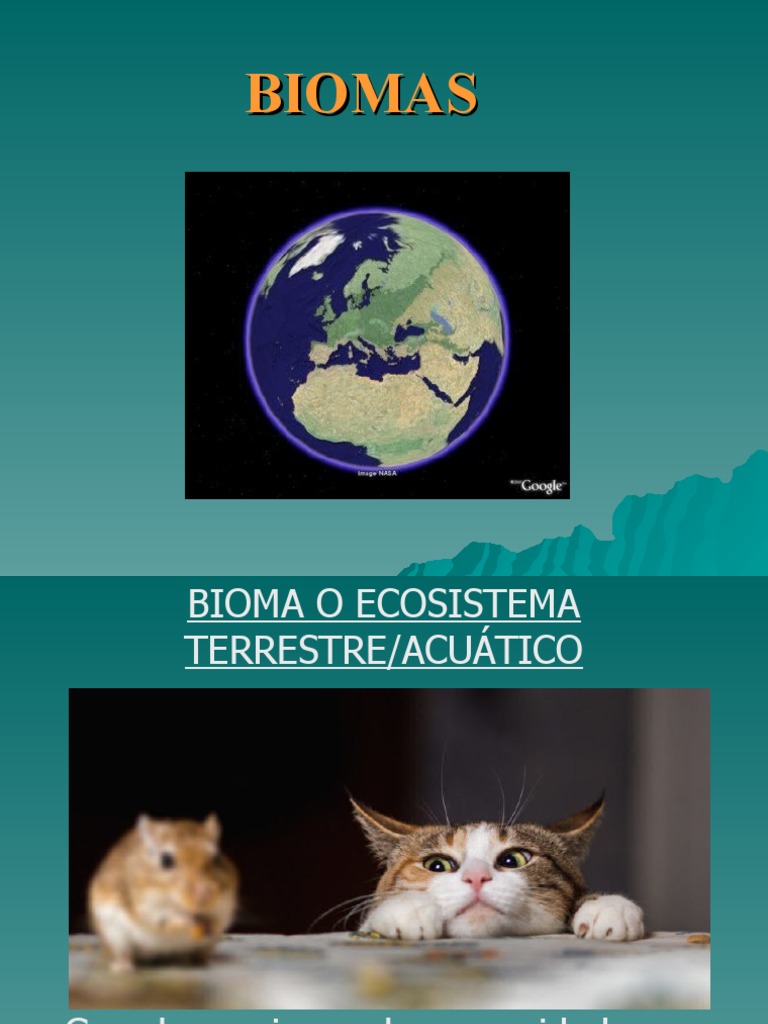 Los principales biomas terrestres y marinos y sus características | PDF ...