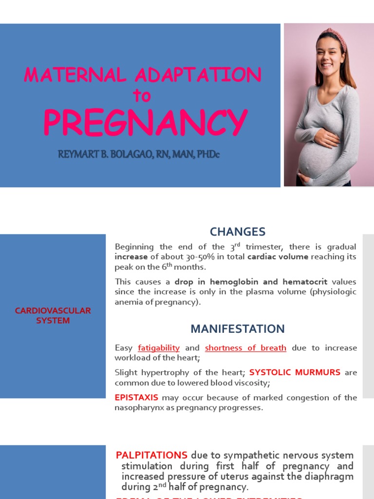 Maternal Adaptations During Pregnancy | PDF | Pregnancy | Vomiting