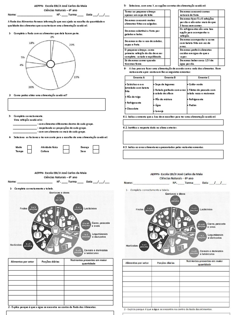 Alimentação Roda Dos Alimentos | Download grátis PDF | Vitamina | Alimentos