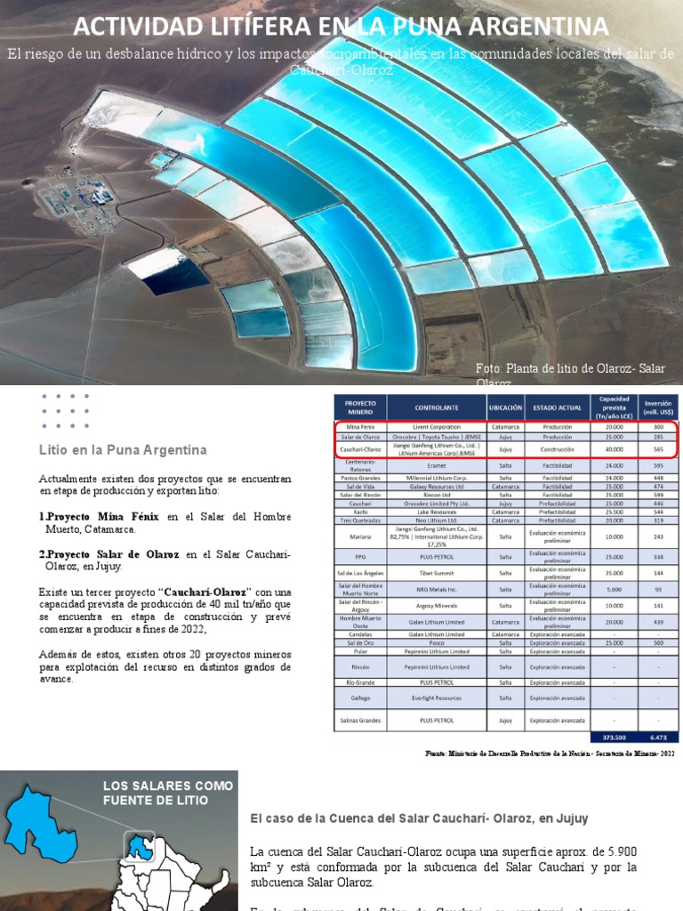 Impacto del litio en la Puna Argentina | PDF | Agua | Agua subterránea