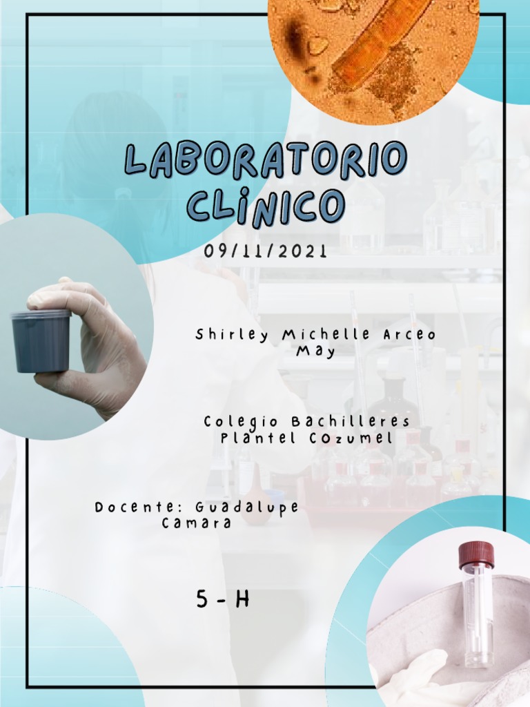 Examen Coprológico | PDF | Heces | Epidemiología