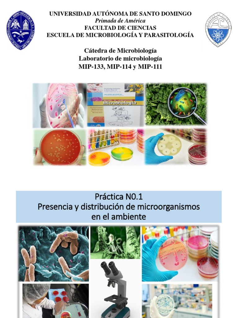 Prac 1, Lab Microbiología | PDF | Microbiología | Laboratorios