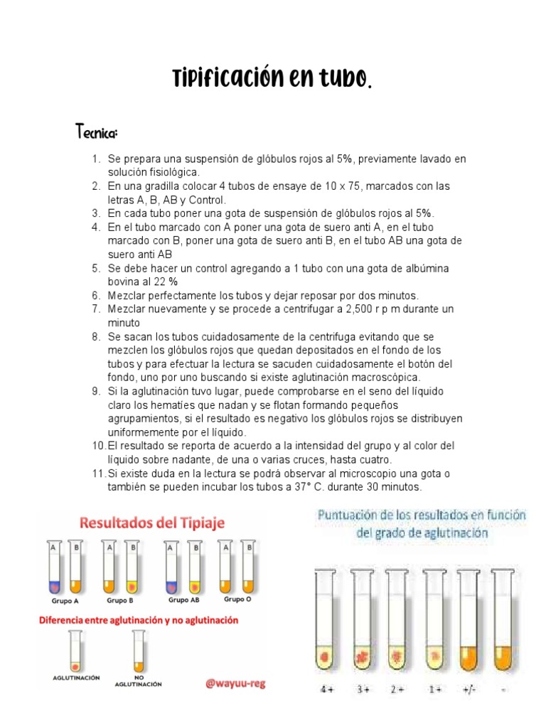 Proceso de Tipificación Sanguínea | PDF | Cocina, comidas y vino | Salud y bienestar