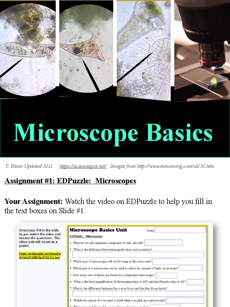 Microscope Basics 2021 | PDF | Optics | Lenses
