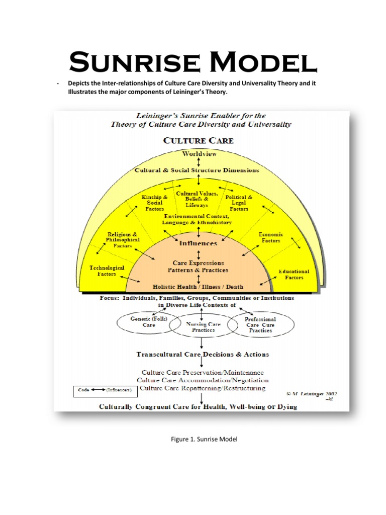 Sunrise Model | Social Structure | Health Care