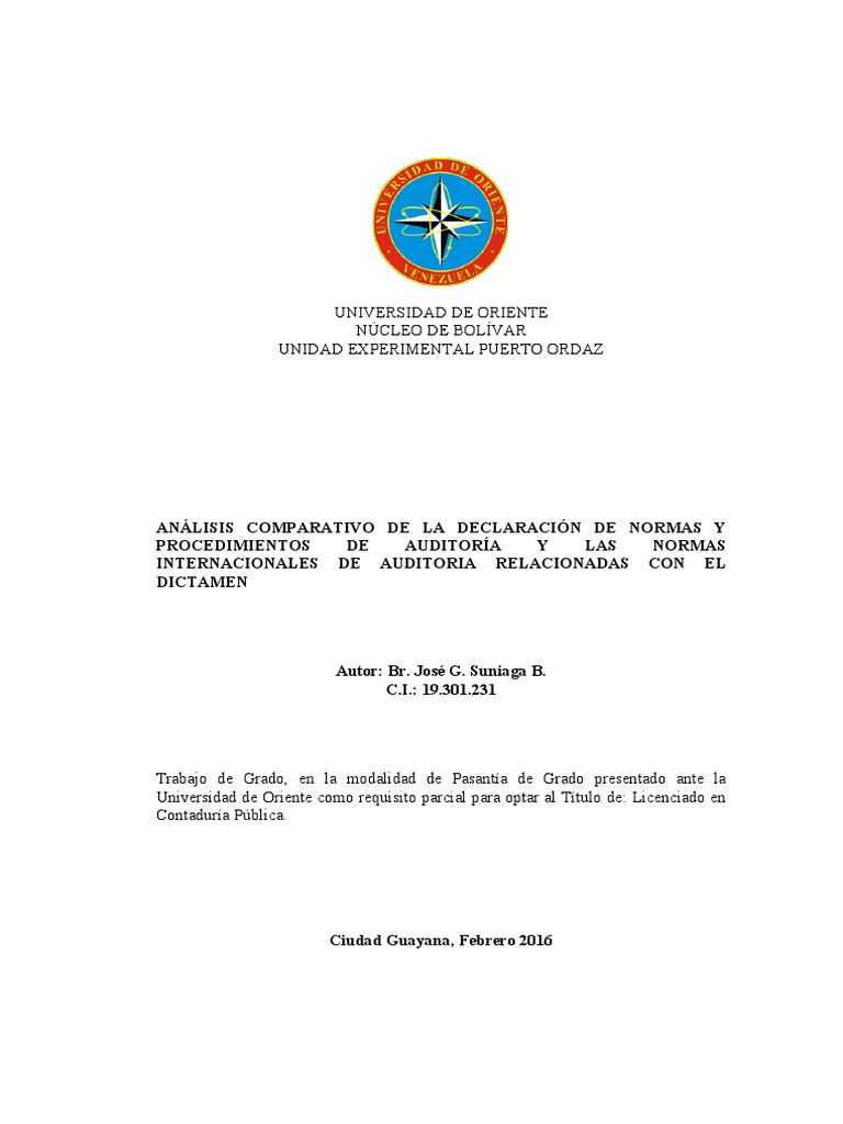 Analisis Informe Del Auditor | PDF | Auditoría | Contador