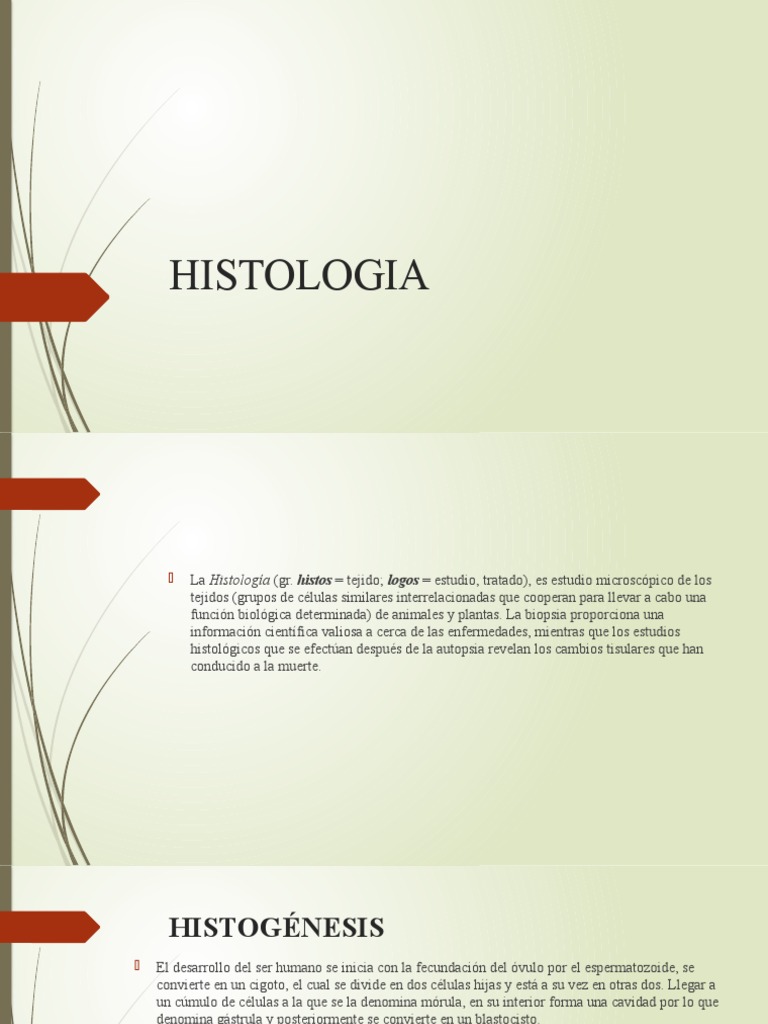 Introducción a la Histología y Tejidos | PDF | Epitelio | Microscopía