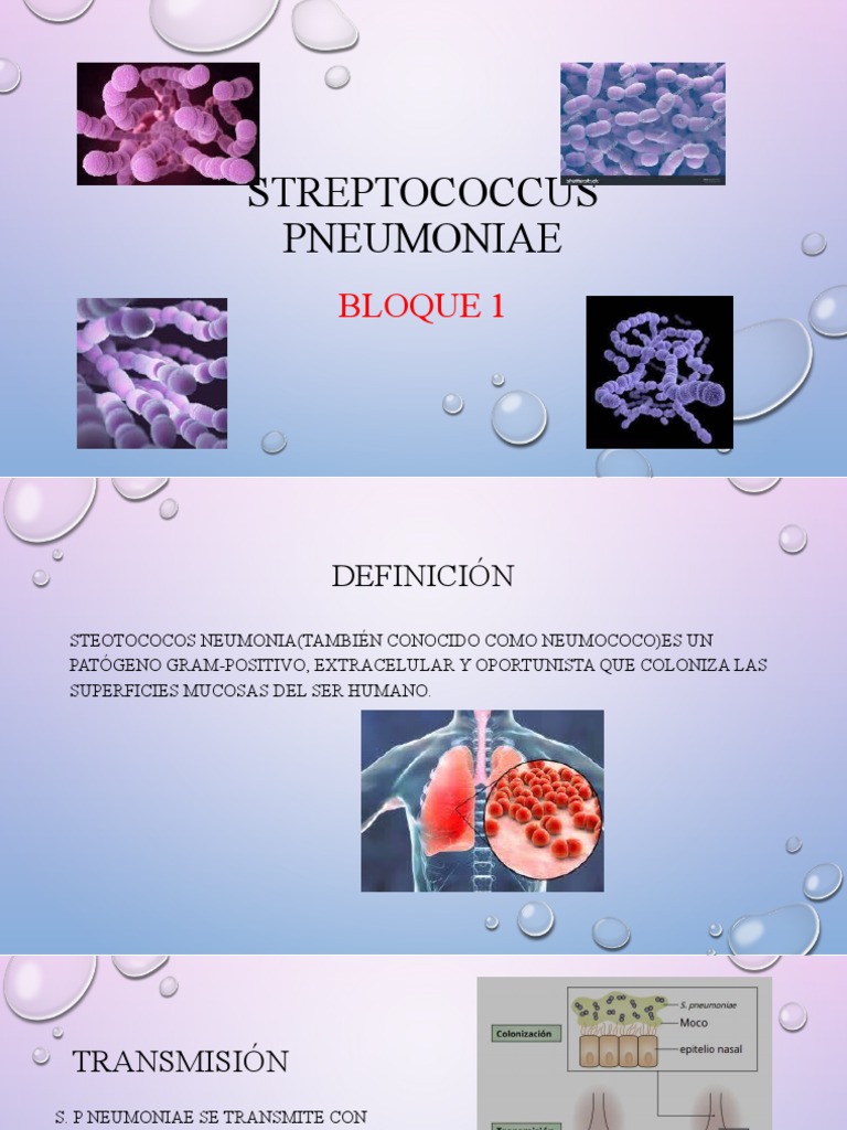 Streptococcus Pneumoniae | PDF