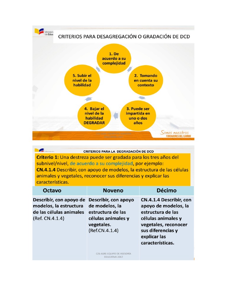 Criterios de Desagregación | PDF