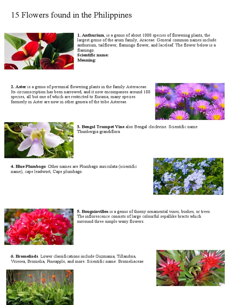 List of Flowers in The Philippines | PDF | Garden Plants | Botany