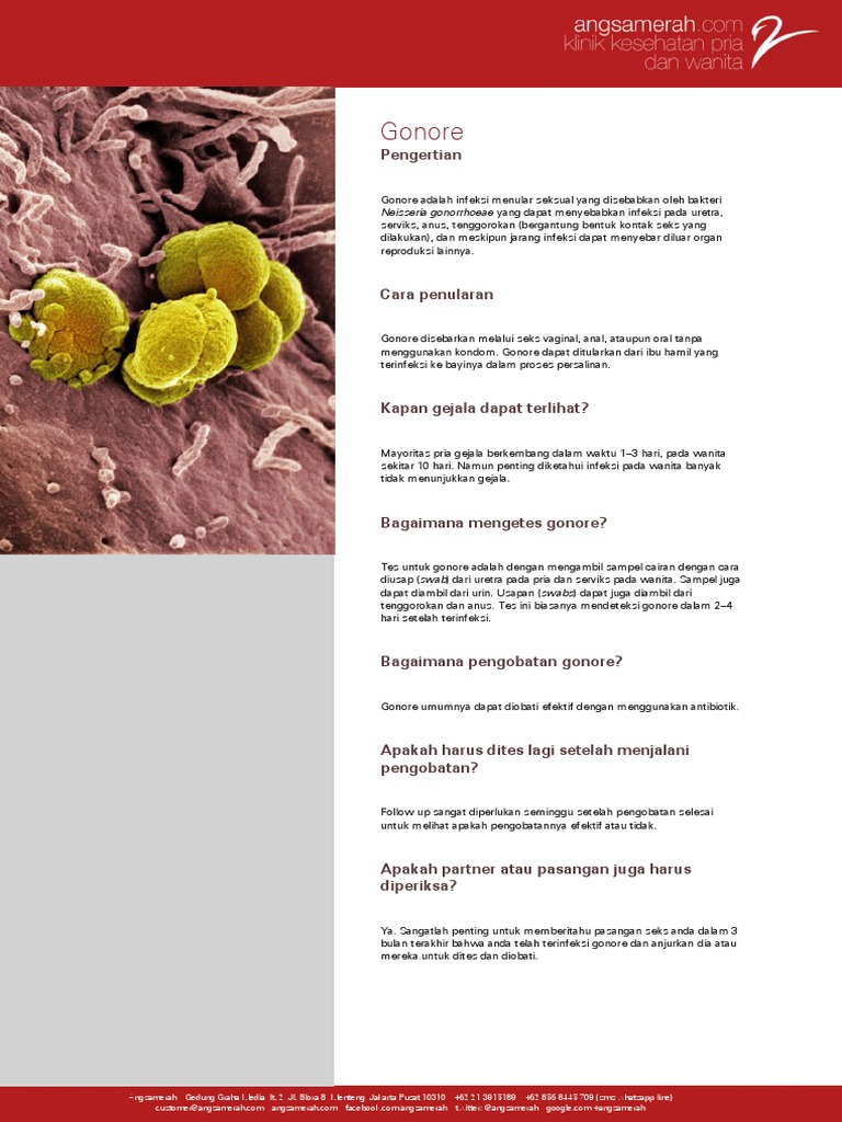 Brosur Gonore | PDF