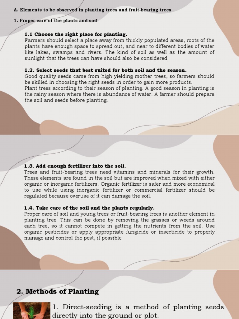 TLE-Fruit Bearing Trees-Week 2 | PDF | Seedling | Seed