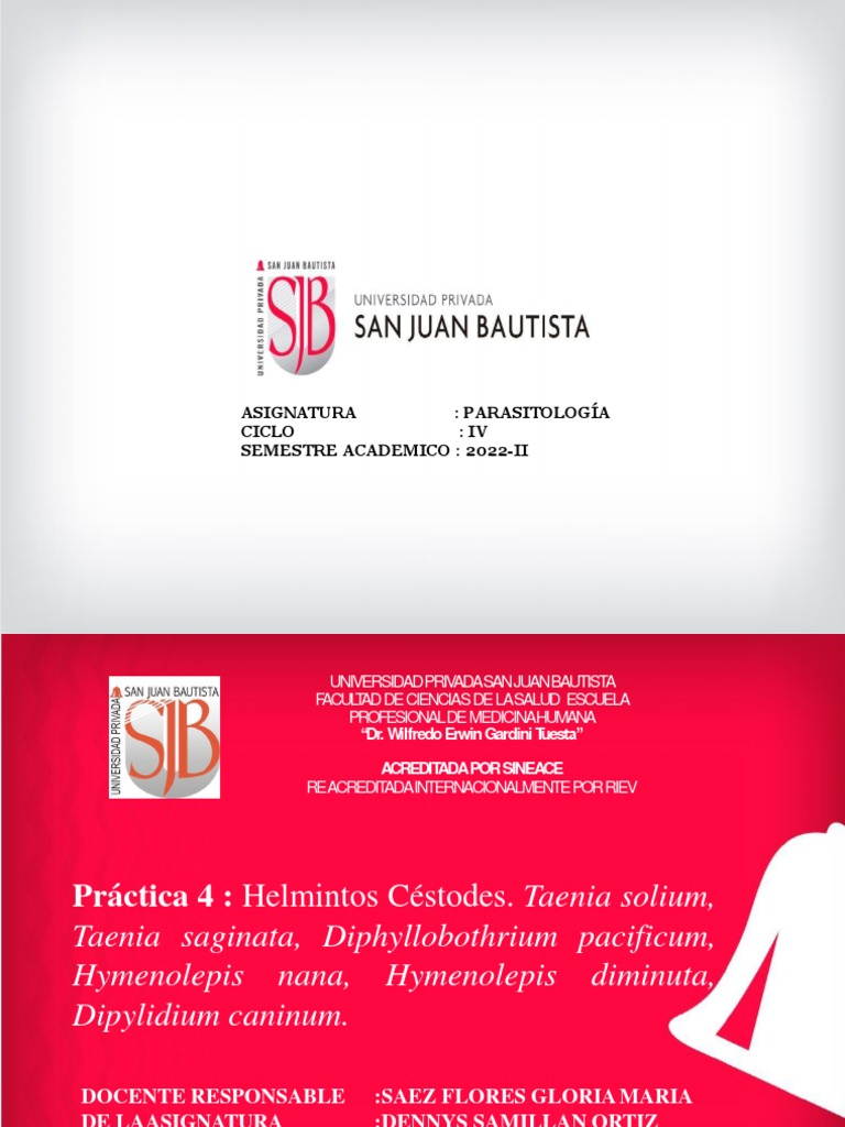 Clase4 Práctica | PDF