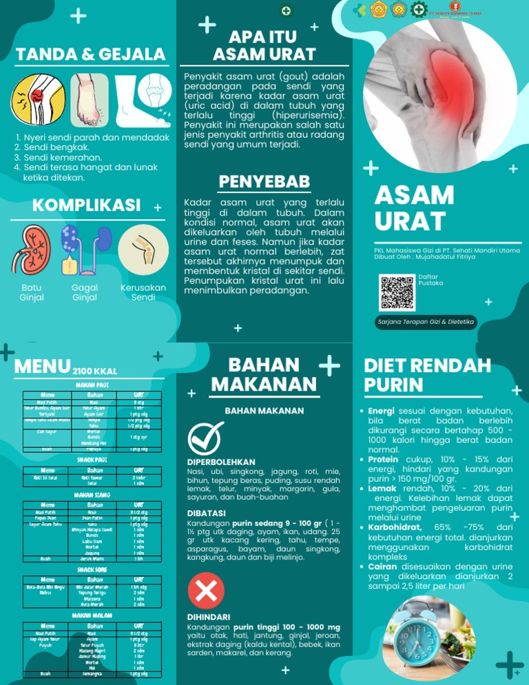 Leaflet Asam Urat | PDF