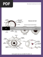 SCLERE Anatomie | PDF | Cornée | Anatomie