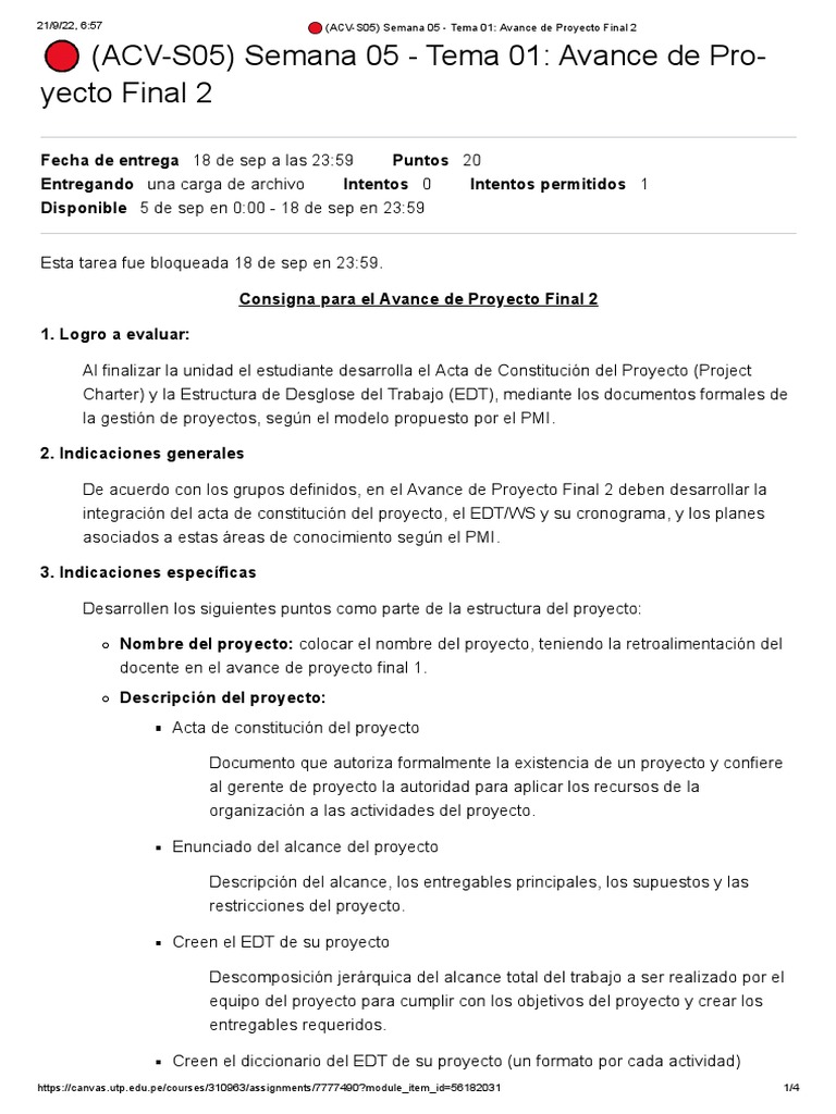 Avance Proyecto Final: Acta y EDT | PDF | Informática