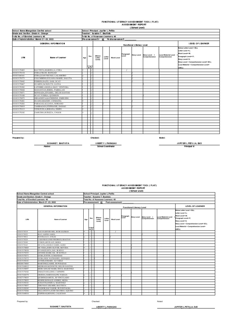 Grade 4 Literacy Assessment Report | PDF | Cognitive Science ...