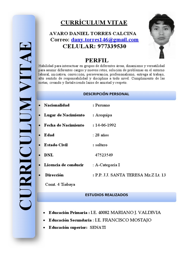 Alvaro Torres CV | PDF