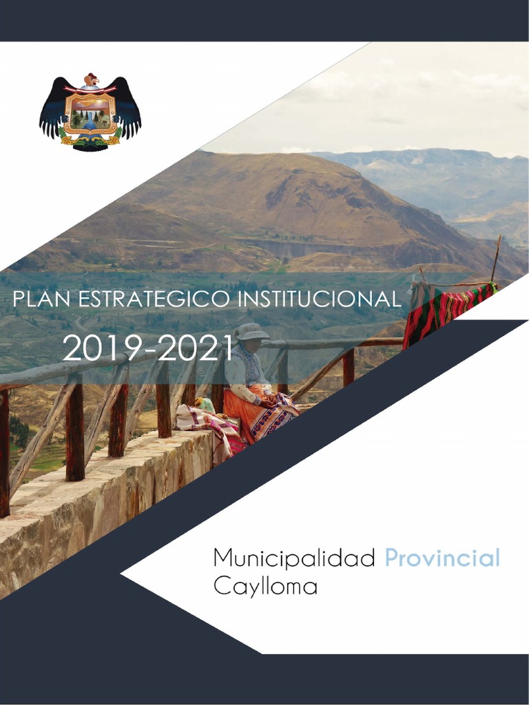 PEI Plan Estratégico Institucional | PDF | Riesgo | Planificación