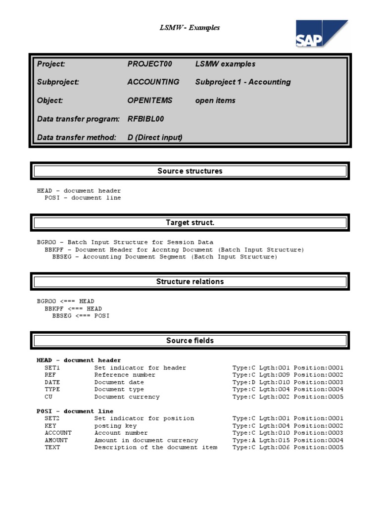 Example Open Items Via Direct Input | PDF | Invoice | Payments